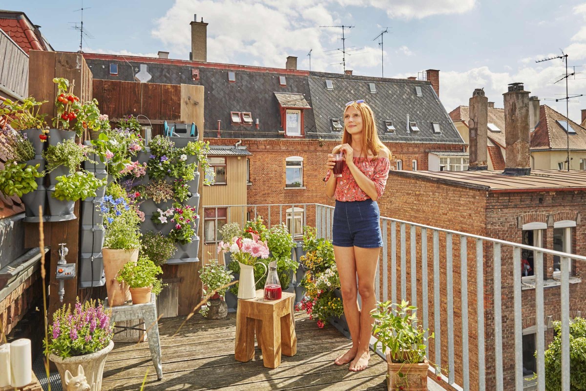 Flori pentru balcon | HORNBACH