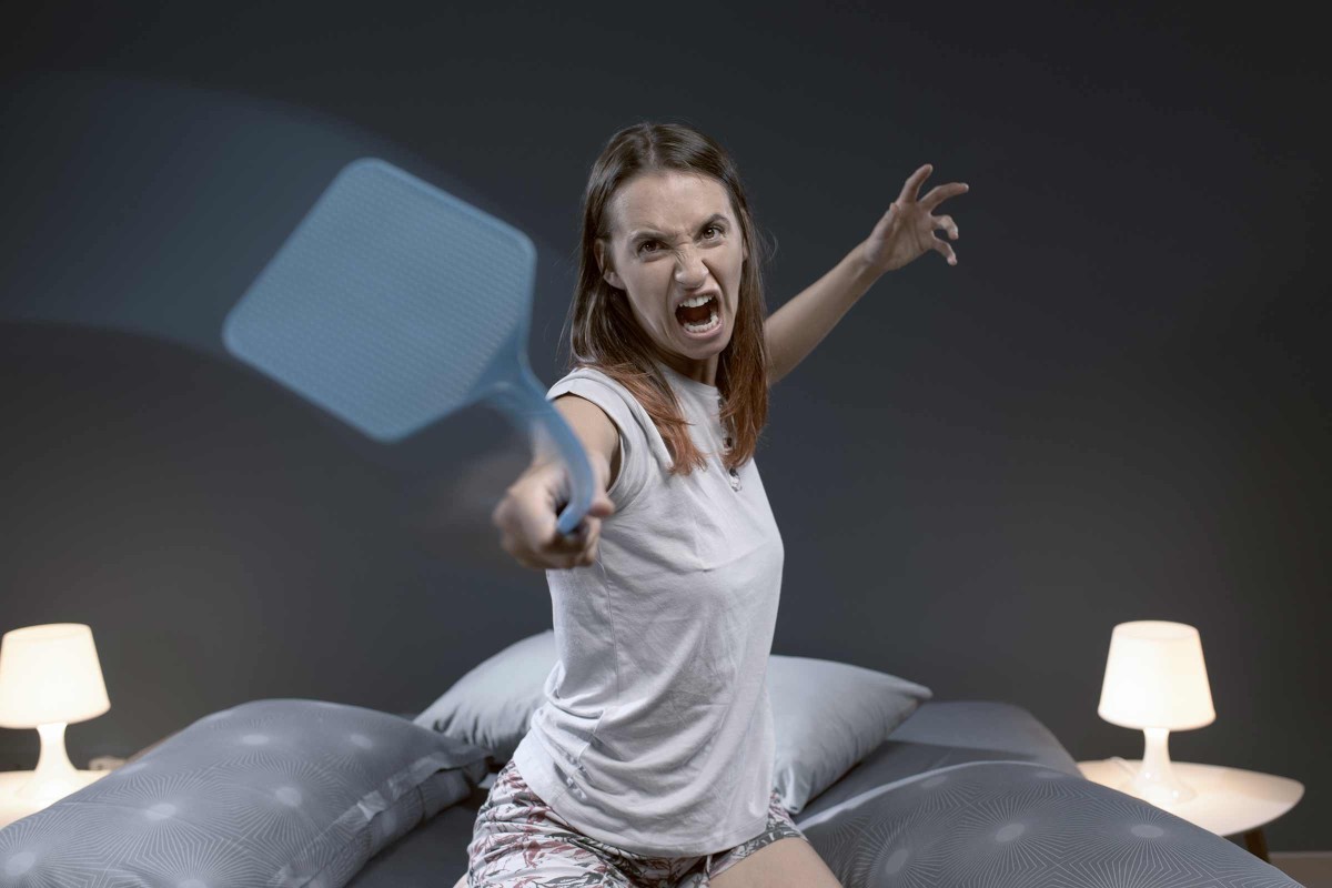 Plase de țânțari și perdele contra muștelor. Ghid și instrucțiuni ...