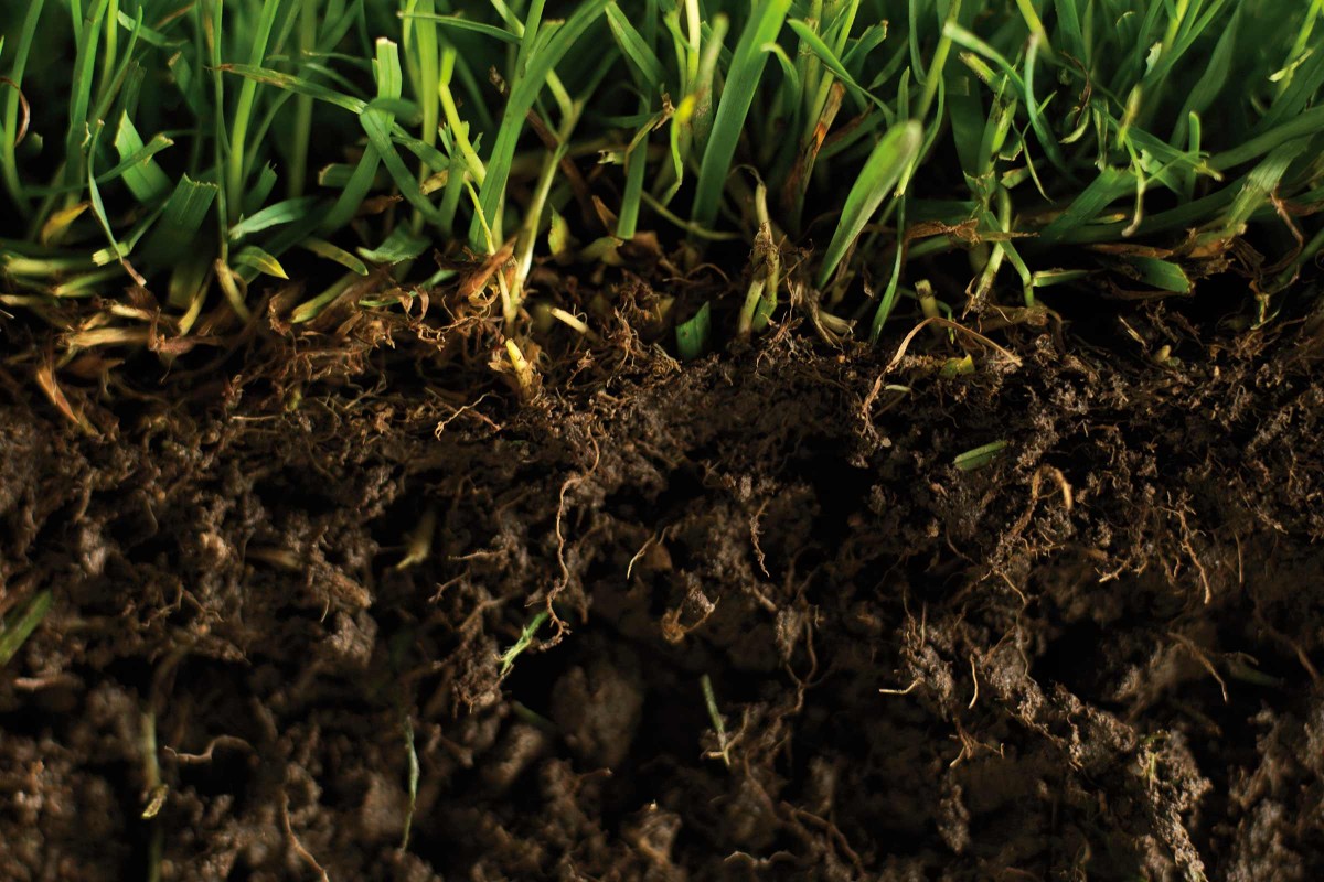 Îngrijirea pământului din grădină și tipurile de sol | HORNBACH