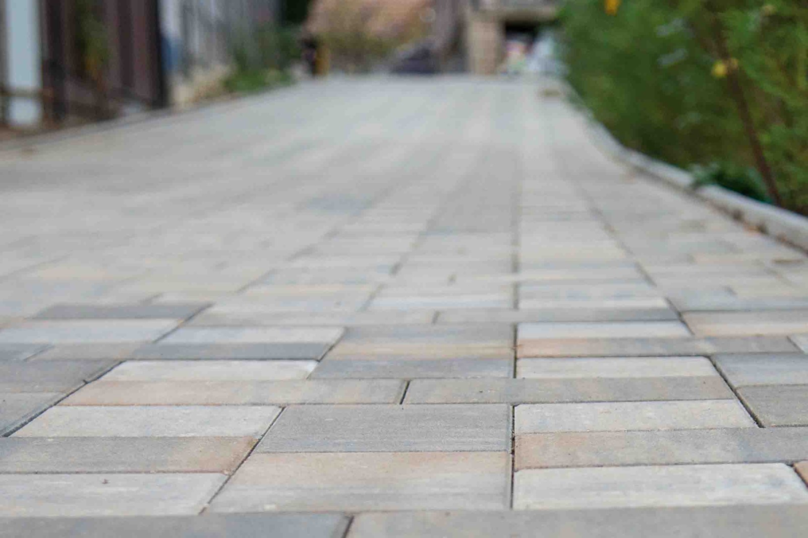Pavaje curte: +50 de modele ᐈ HORNBACH