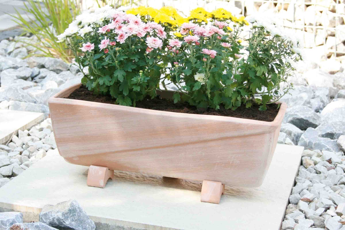 Jardiniere: Beton, Lemn, Plastic - Exterioare ᐈ HORNBACH