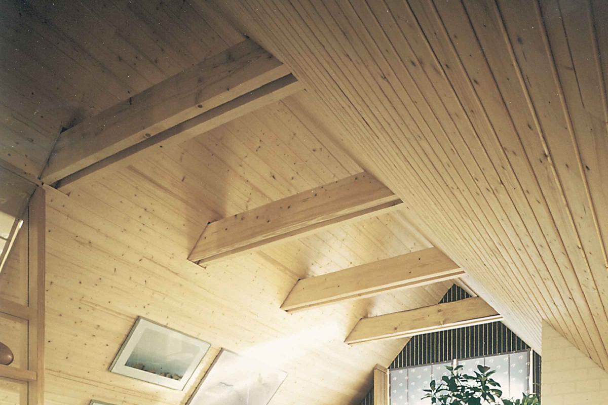 Lambriuri: Exterioare & Interioare ᐈ HORNBACH