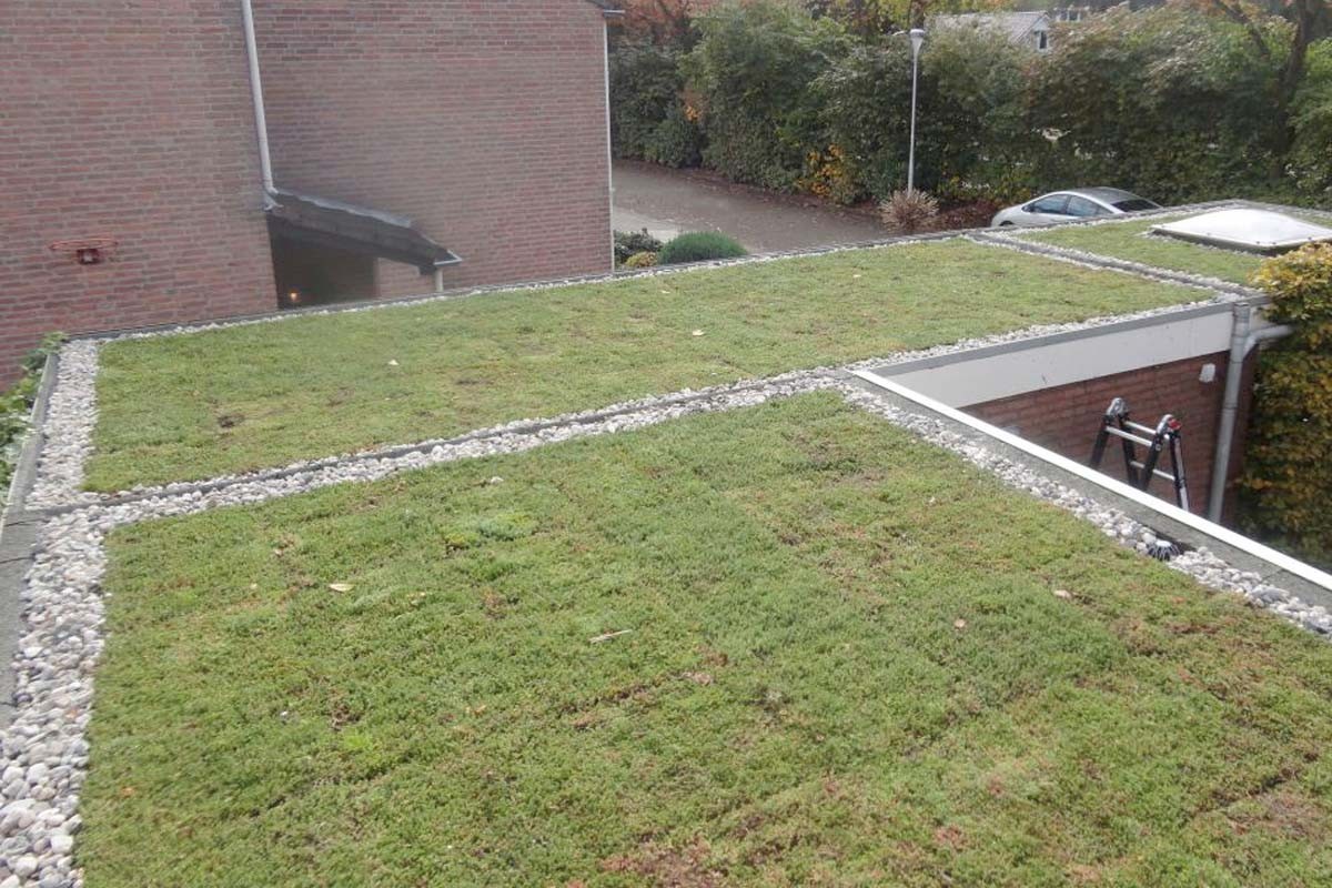 Acoperișul verde - avantajele și produsele necesare construirii | HORNBACH