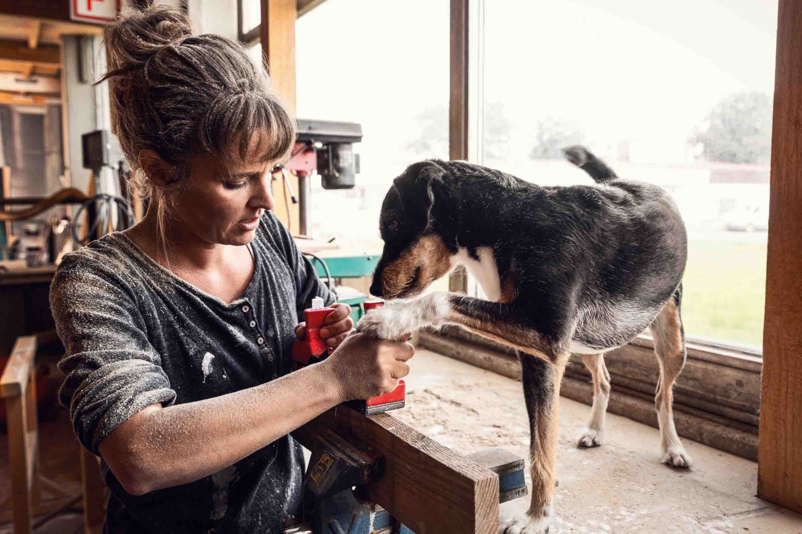 Hrana caini: +400 sortimente de mancare ᐈ HORNBACH