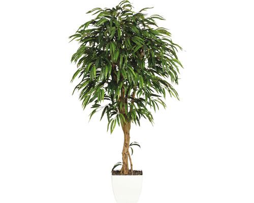 Plantă artificială Ficus benjamina în ghiveci H 180 cm | HORNBACH