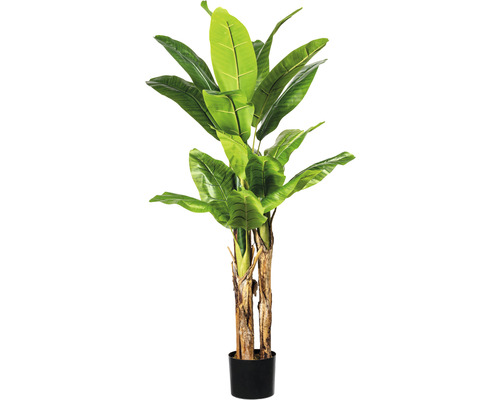 Copac artificial bananier 3 tije în ghiveci H 150 cm verde | HORNBACH