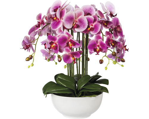 Plantă artificială Orhidee fluture Phalaenopsis în | HORNBACH