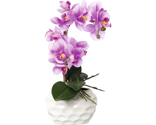 Plantă artificială Orhidee fluture Phalaenopsis în | HORNBACH