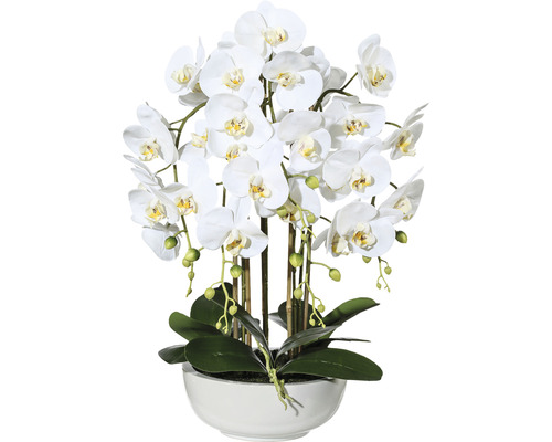 Plantă artificială Orhidee fluture Phalaenopsis în | HORNBACH