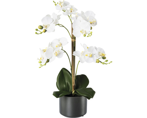 Plantă artificială Orhidee fluture Phalaenopsis în | HORNBACH