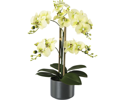 Plantă artificială Orhidee fluture Phalaenopsis în | HORNBACH