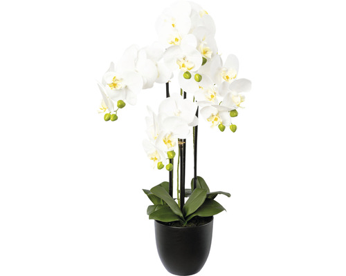 Plantă artificială Orhidee fluture Phalaenopsis în vas | HORNBACH