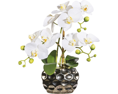 Plantă artificială Orhidee fluture Phalaenopsis în vas H | HORNBACH