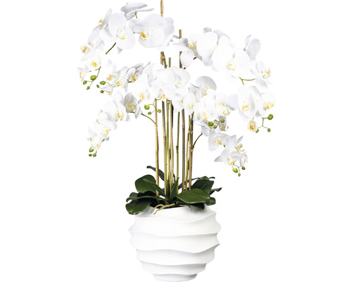 Plantă artificială Orhidee fluture Phalaenopsis în vas 7 | HORNBACH