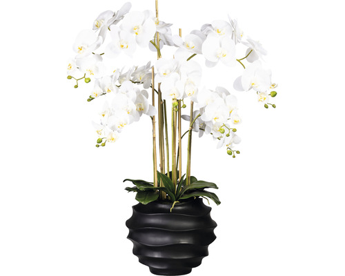 Plantă artificială Orhidee fluture Phalaenopsis în vas | HORNBACH