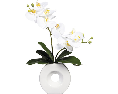 Plantă artificială Orhidee fluture Phalaenopsis în vas | HORNBACH