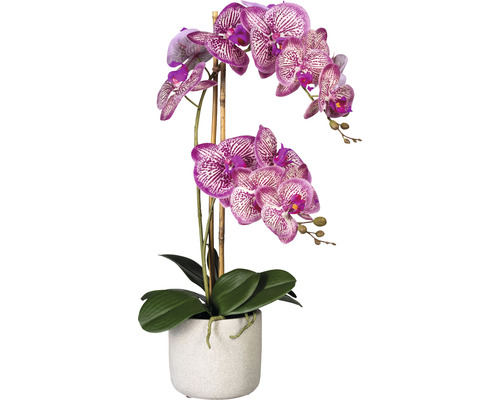 Plantă artificială Orhidee fluture Phalaenopsis în vas H | HORNBACH