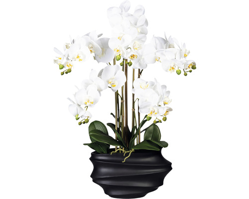 Plantă artificială Orhidee fluture Phalaenopsis în vas 5 | HORNBACH