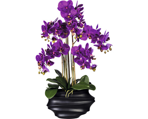 Plantă artificială Orhidee fluture Phalaenopsis în vas 5 | HORNBACH