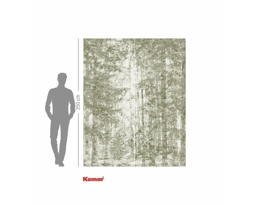Fototapet vlies Komar IF2-013 Fading Forest 200x250 cm | HORNBACH